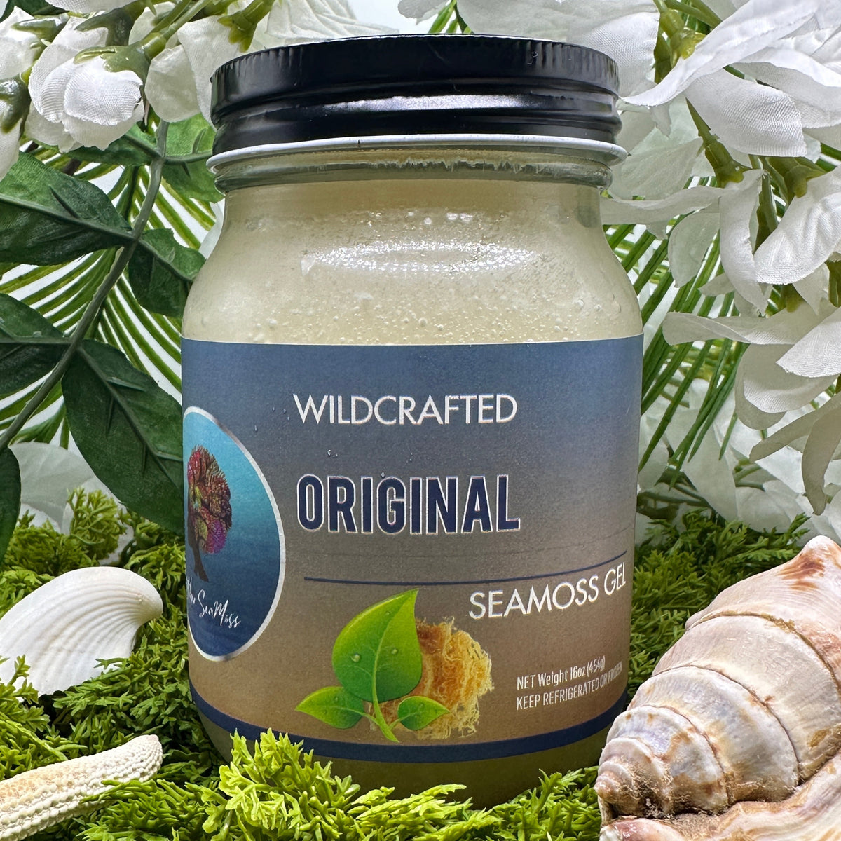 Original 16oz – Mother SeaMoss